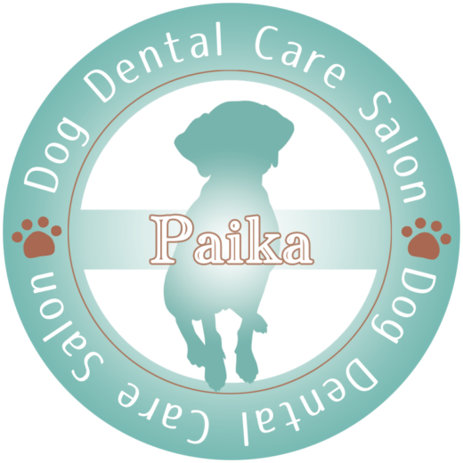 TOP - Paika -パイカ-